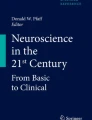 Mathematical Foundations of Neuroscience | SpringerLink