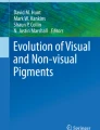 Non-visual Opsins and Novel Photo-Detectors in the Vertebrate Inner ...