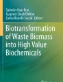 Bio-char Sequestration in Terrestrial Ecosystems – A Review ...