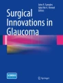 Anatomy and Physiology of the Suprachoroidal Space | SpringerLink