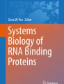 Functional and pathological relevance of HERC family proteins: a decade ...