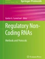Non-coding RNAs: Classification, Biology and Functioning | SpringerLink