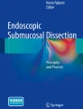 Advanced Imaging Through The Endoscope | SpringerLink