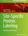 Site-Specific Protein Labeling Utilizing Lipoic Acid Ligase (LplA) and ...