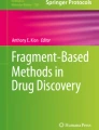 Computational Fragment-Based Drug Design: Current Trends, Strategies, and Applications | The ...
