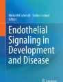 The role of PLVAP in endothelial cells | Cell and Tissue Research