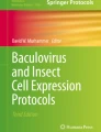 BacMam System for Rapid Recombinant Protein Expression in Mammalian ...