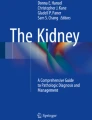 Nephrogenic Rests and Nephroblastomatosis | SpringerLink