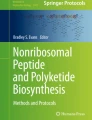 Iterative polyketide biosynthesis by modular polyketide synthases in bacteria | Applied ...