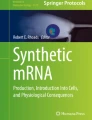 Label-free analysis of mRNA capping efficiency using RNase H probes and ...
