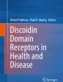 Complex roles of discoidin domain receptor tyrosine kinases in cancer ...