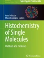 A brief history of the Feulgen reaction | Histochemistry and Cell ...