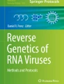 A cDNA-based reverse genetics system for feline calicivirus identifies ...