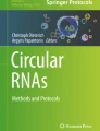 Purification of Circular RNAs Using Poly(A) Tailing Followed by RNase R ...