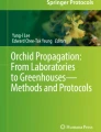 The Orchid Protocorm | SpringerLink