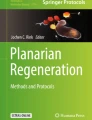 Stem cell systems and regeneration in planaria | Discover Developmental ...