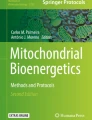Principles of Bioenergetics | SpringerLink