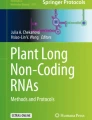 Unveiling the roles of long non-coding RNAs in plant immune responses ...
