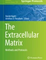 Isolation of Exosomes from Cell Culture Supernatants | Springer Nature ...