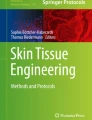 Development of a tissue-engineered skin model with epidermal, dermal ...