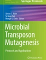 Construction of high-density transposon mutant library of Staphylococcus aureus using ...