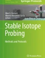 Methodological Considerations for the Use of Stable Isotope Probing in ...