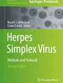 HSV-1 Biology and Life Cycle | SpringerLink