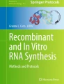 A guide to large-scale RNA sample preparation | Analytical and ...