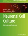 General Overview of Neuronal Cell Culture | SpringerLink