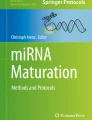 Development of a robust, low cost stem-loop real-time quantification PCR technique for miRNA ...