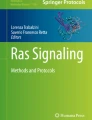 Ran Regulation by Ran GEF and Ran GAP | SpringerLink