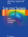 Natural Orifice Translumenal Endoscopic Surgery (NOTES™) | SpringerLink
