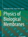 Preparing Membrane Proteins for Simulation Using CHARMM-GUI | SpringerLink