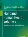 Chemical Composition and Anti-Nutritional Profiling of Wattle (Acacia ...