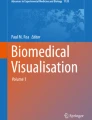 Biomedical Visualisation: Volume 15 ‒ Visualisation in Teaching of ...
