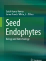 Challenges and update on fungal endophytes: classification, definition ...