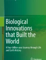 Kingdom Chromista and its eight phyla: a new synthesis emphasising ...