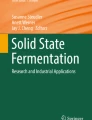 Improving enzyme production by solid-state cultivation in packed-bed ...