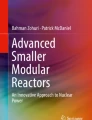 Review of Small Modular Reactors: Challenges in Safety and Economy to ...