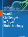 Genetically engineered microalgae for enhanced bioactive compounds | Discover Applied Sciences