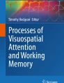 Dorsolateral Prefrontal Cortex: Working Memory and Executive Functions | SpringerLink