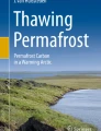 Permafrost Thawing and Estimates of Vulnerable Carbon in the Northern ...