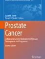 Metabolic Reprogramming As a Prostate Cancer Hallmark | SpringerLink