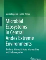 Endolithic Microorganisms and Their Habitats | SpringerLink