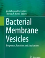 Engineered Bacterial Membrane Vesicles for Advanced Biomedical ...