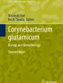 Physiological characteristics of Corynebacterium glutamicum as a cell ...