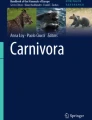 Marbled Polecat Vormela peregusna (Güldenstädt, 1770) | Springer Nature ...