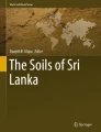 Solonchaks and Solonchak-Like Soils | SpringerLink