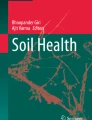 Chemical Fertilizers, Formulation, and Their Influence on Soil Health ...