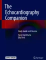Echocardiographic Evaluation of Pulmonary Hypertension: A Contemporary ...
